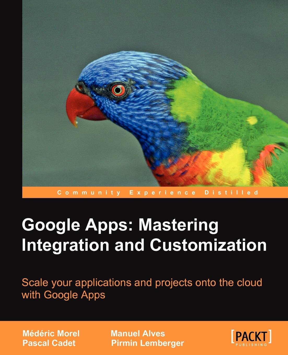Google Apps. Mastering Integration and Customization