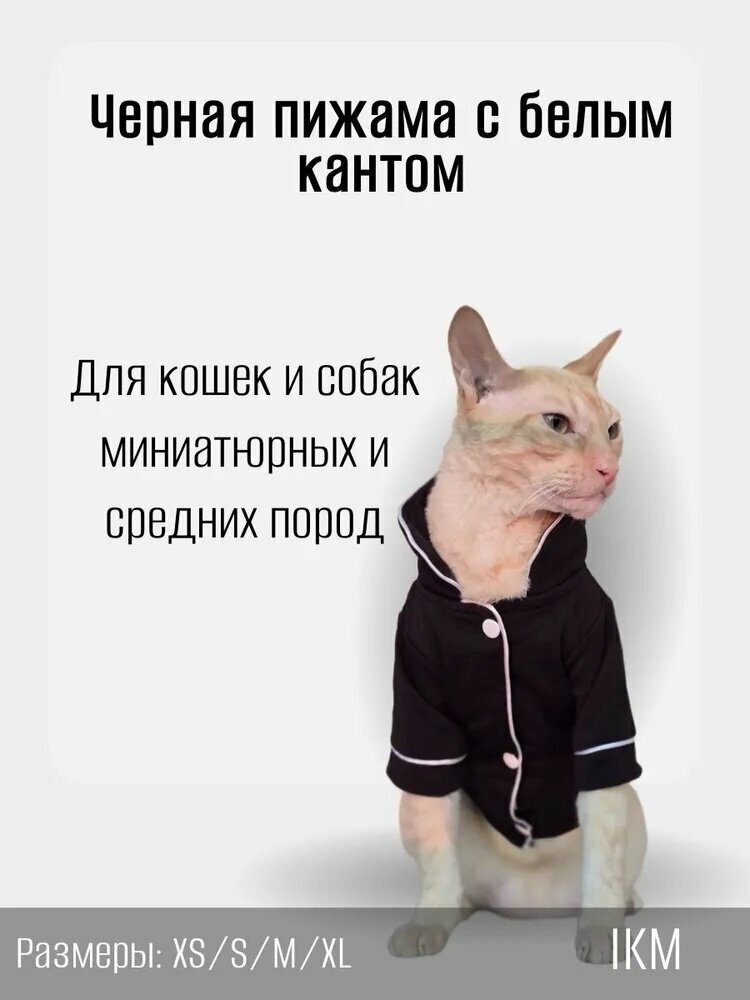 Одежда для животных — фото 1