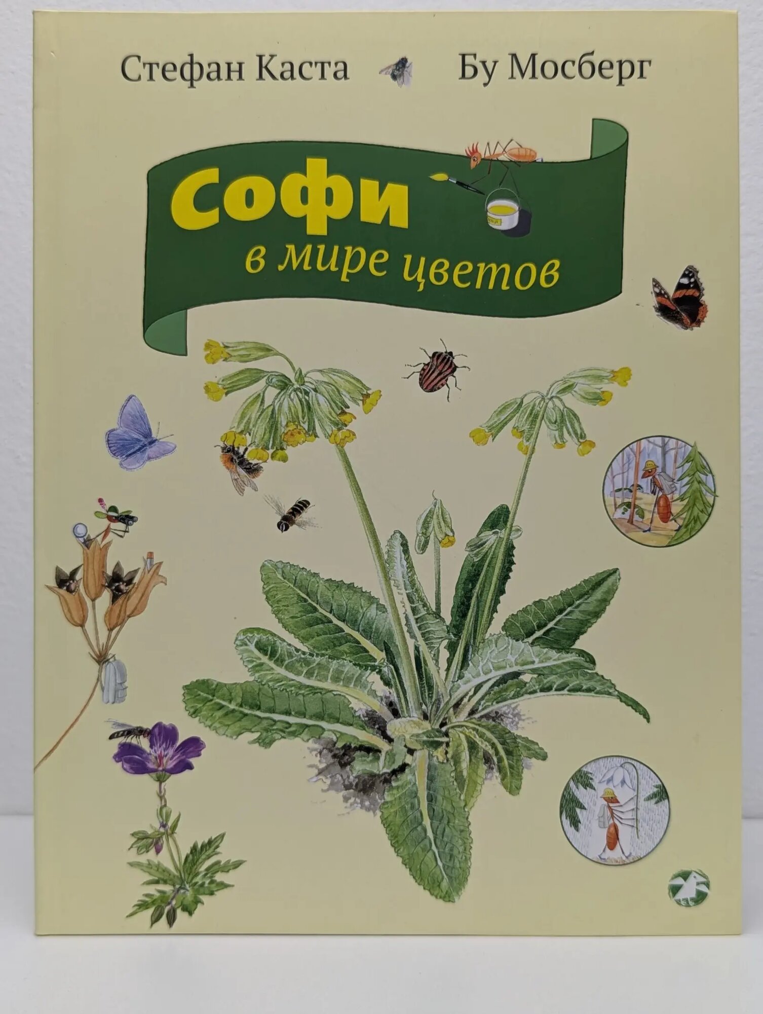 Софи в мире цветов Каста Стефан 2015
