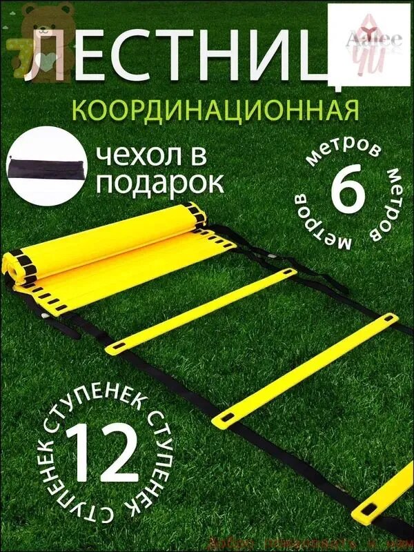 Координационная дорожка