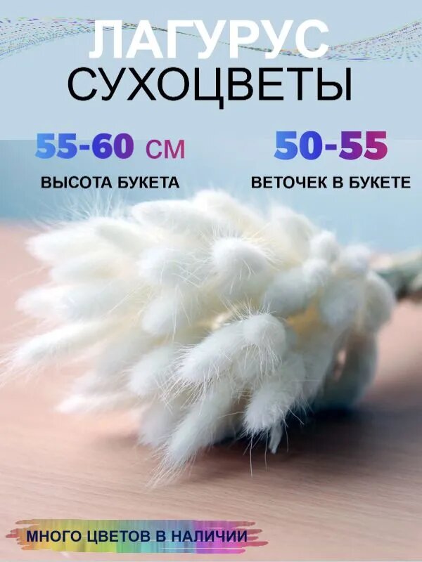 Сухоцветы Сетария, 60 см, 150 гр, 60 шт