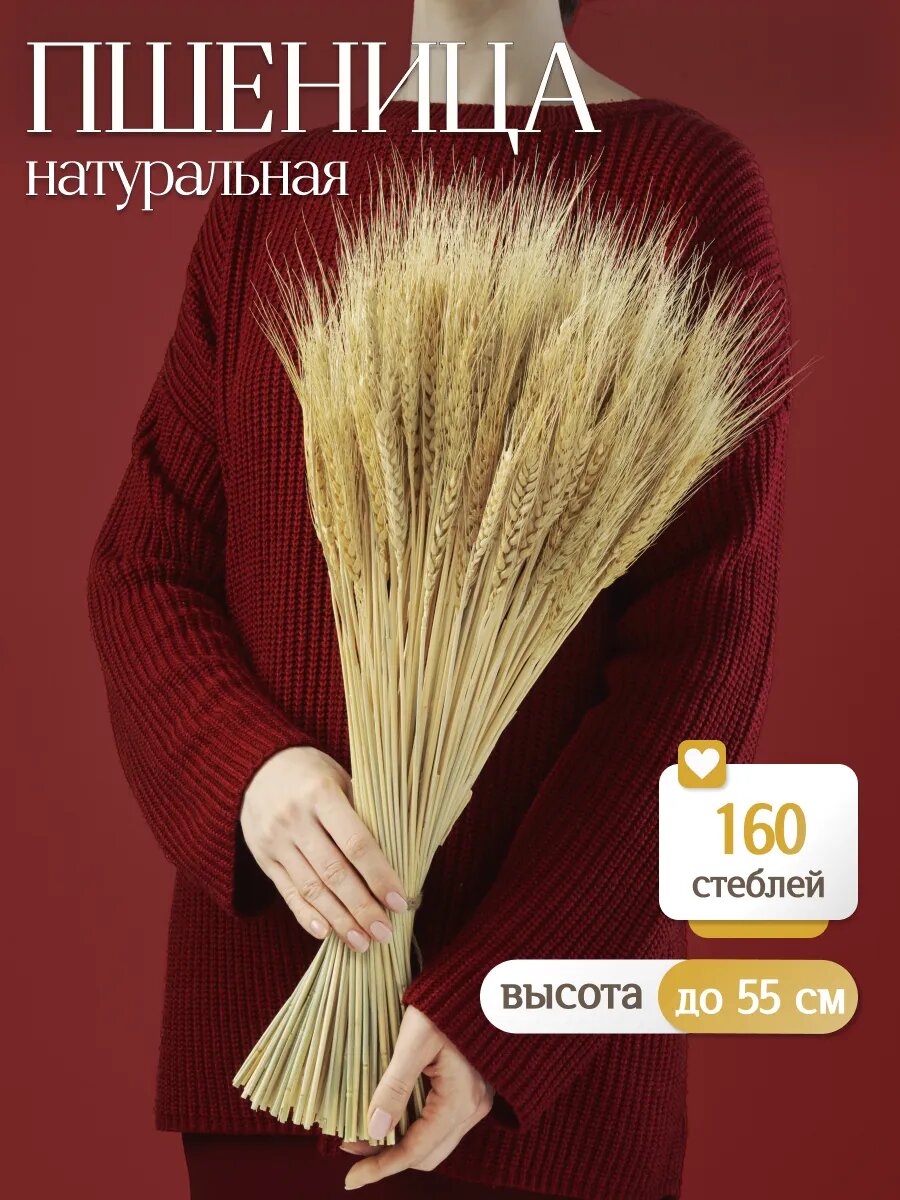 Пшеница золотистая 160 шт, сухоцветы для декора и интерьера