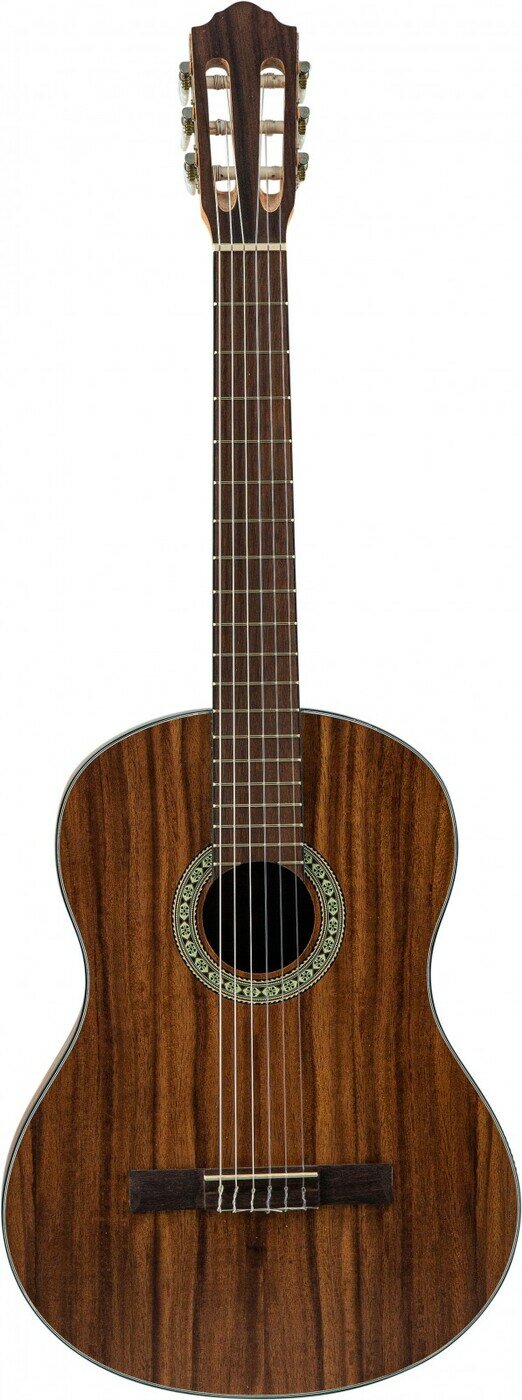 Гитара классическая 4/4 FLIGHT C-110 TEAK 4/4