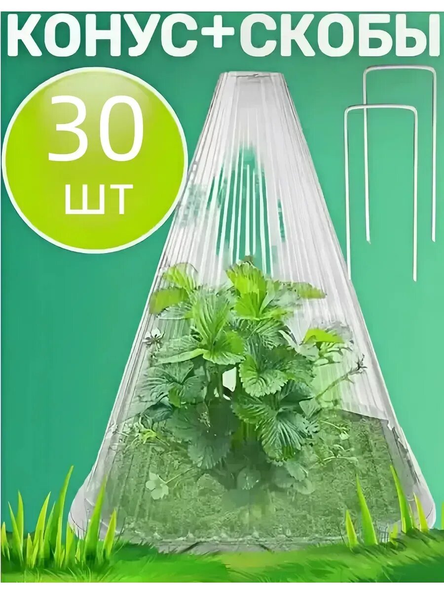 Тепличный конус + кронштейн для рассады