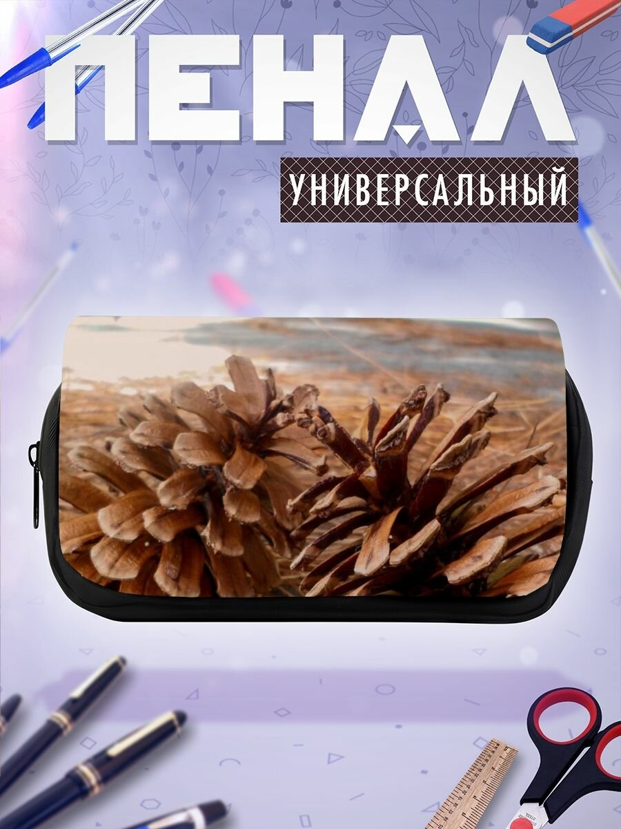 Школьный пенал сосна хвойные конуса