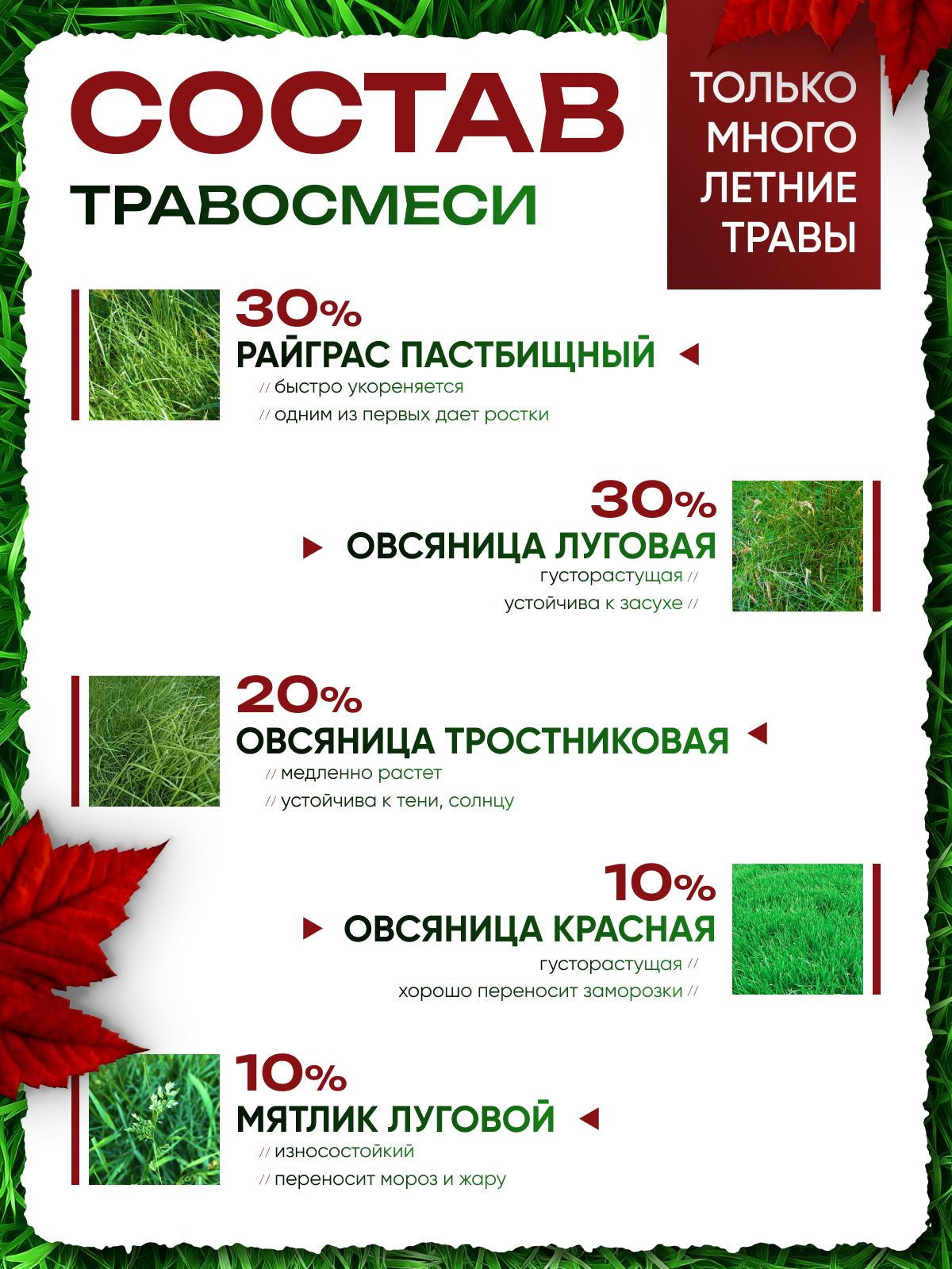 Газонная трава семена Канада Грин Дачная 2 кг / Canada Green Village 2 кг / семена газона райграс, мятлик, овсяница