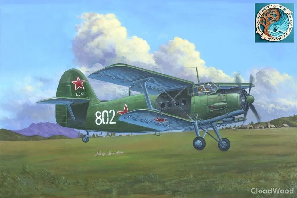 Hobbyboss 81705 1:48 Российский транспортный самолет Ан-2/АН-2СХ "Пони" Сборная модель самолета