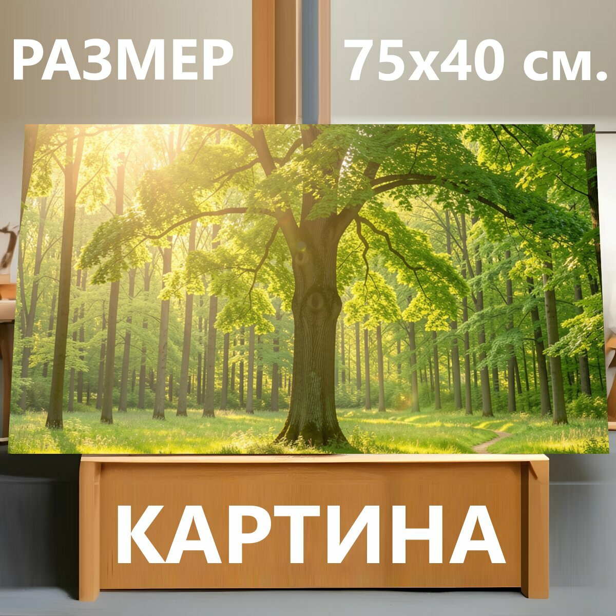 Картина на холсте "Солнечный лесной пейзаж с тропой. Зелёный лес в тёплых лучах рассветного света, высокие деревья, мягкие тени и извилистая." на подрамнике 75х40 см. для интерьера