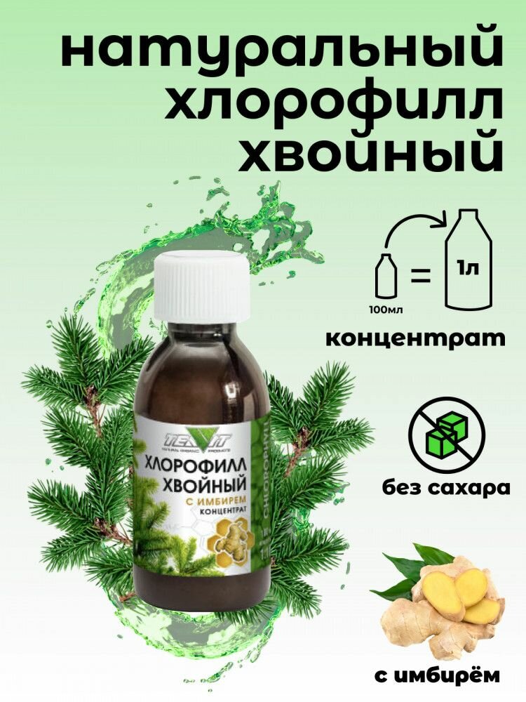 Концентрат TEAVIT "Хлорофилл", с имбирем и хвойным экстрактом, 100 мл
