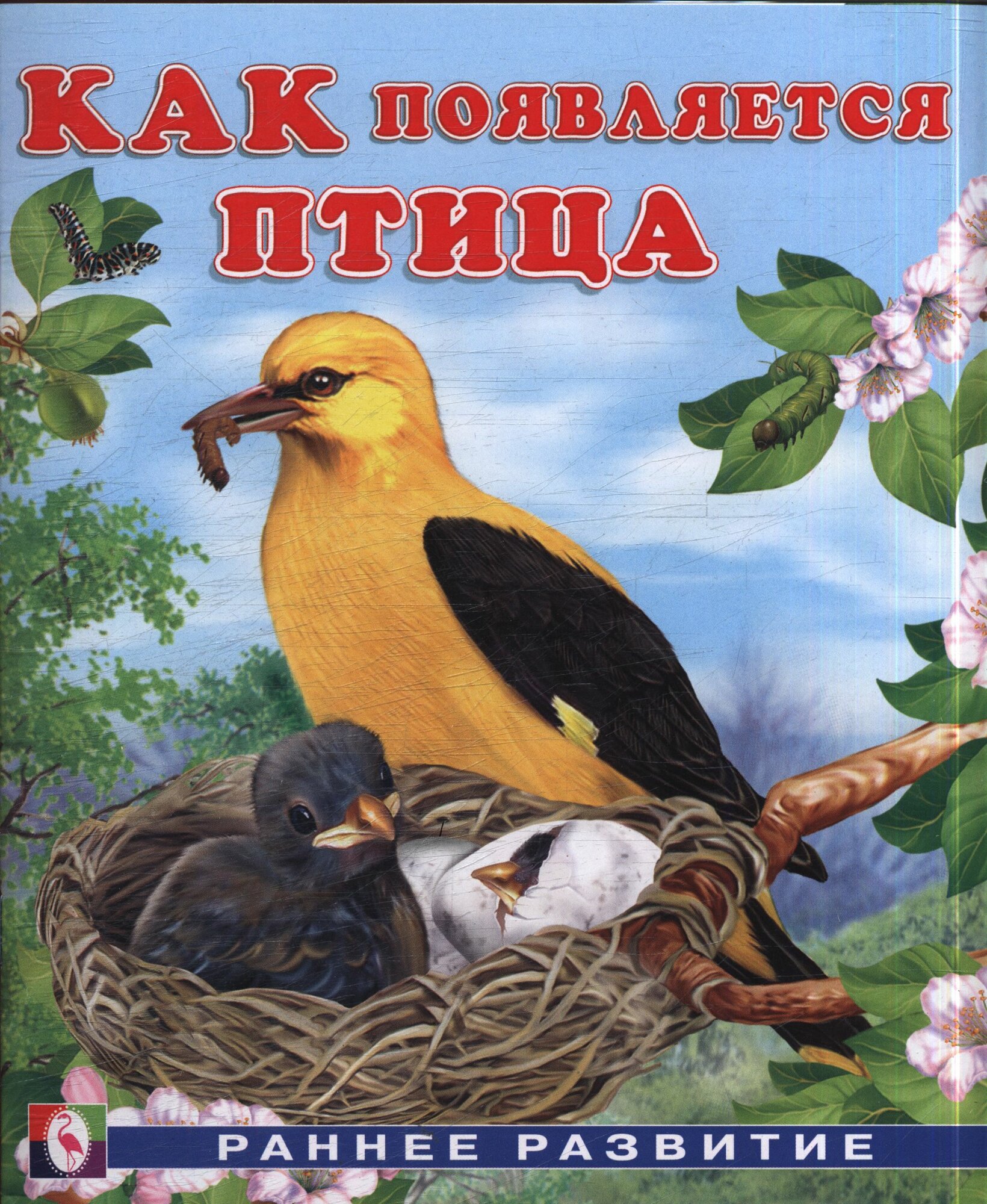 РаннееРазвитие Гурина И. В. Как появляется птица, Арт.29258, (Фламинго)