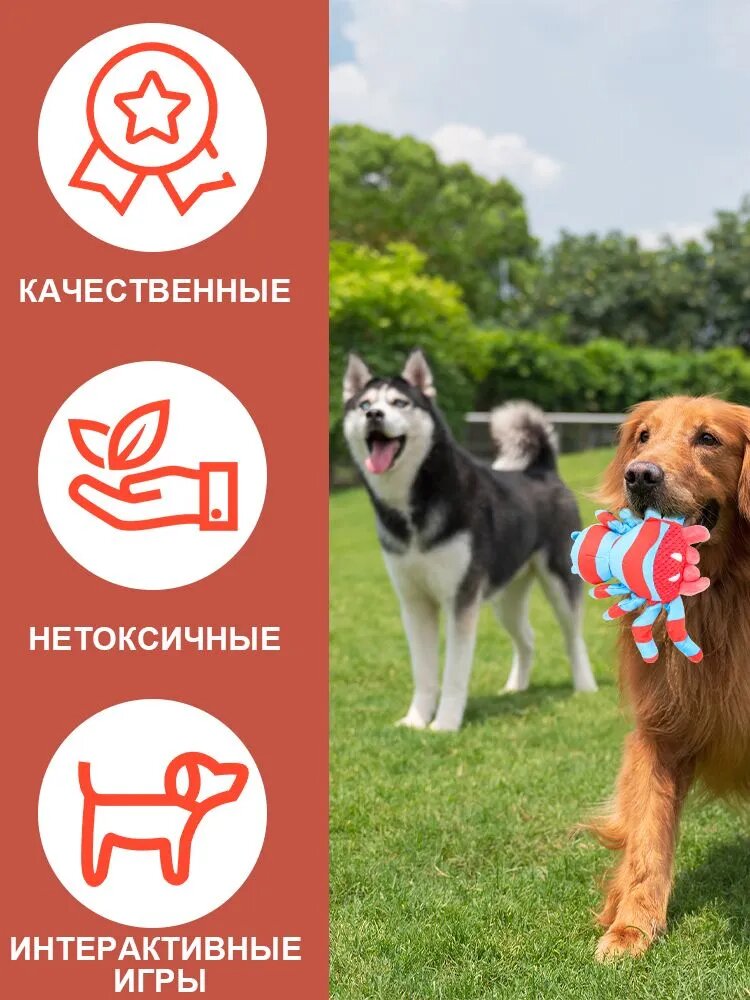 Игрушка для животных — фото 1