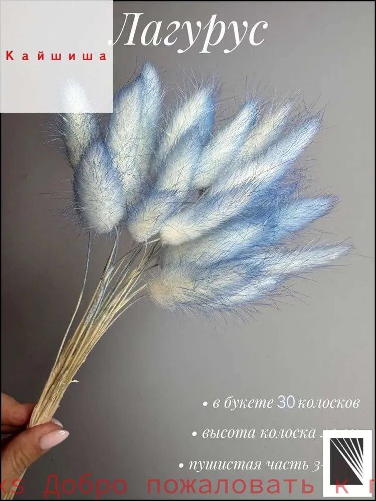 Сухоцветы Лагурус, 50 см, 30 шт