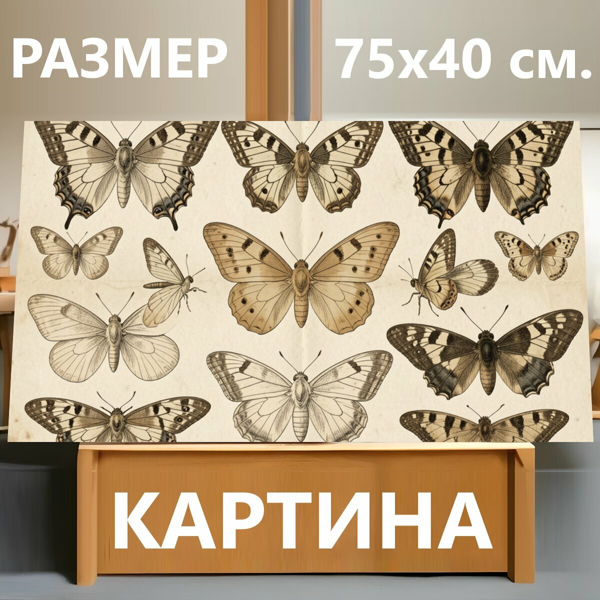 Картина на холсте "Коллекция бабочек на винтажном фоне. Старинная композиция с множеством крылатых насекомых в сепии, ретро-иллюстрация на." на подрамнике 75х40 см. для интерьера