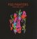Виниловая пластинка Foo Fighters: Wasting Light (180g). 2 LP