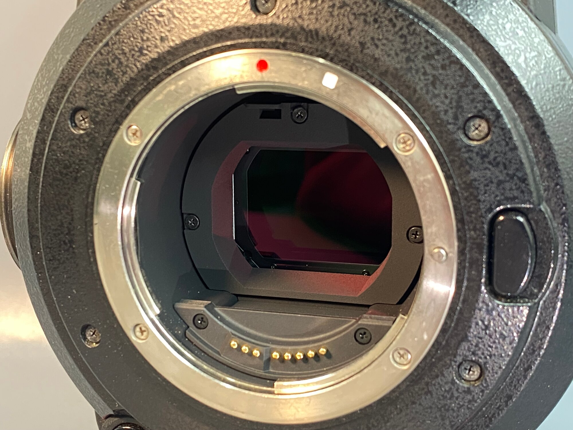 Canon EOS C300 + Zacuta rig — фото 1