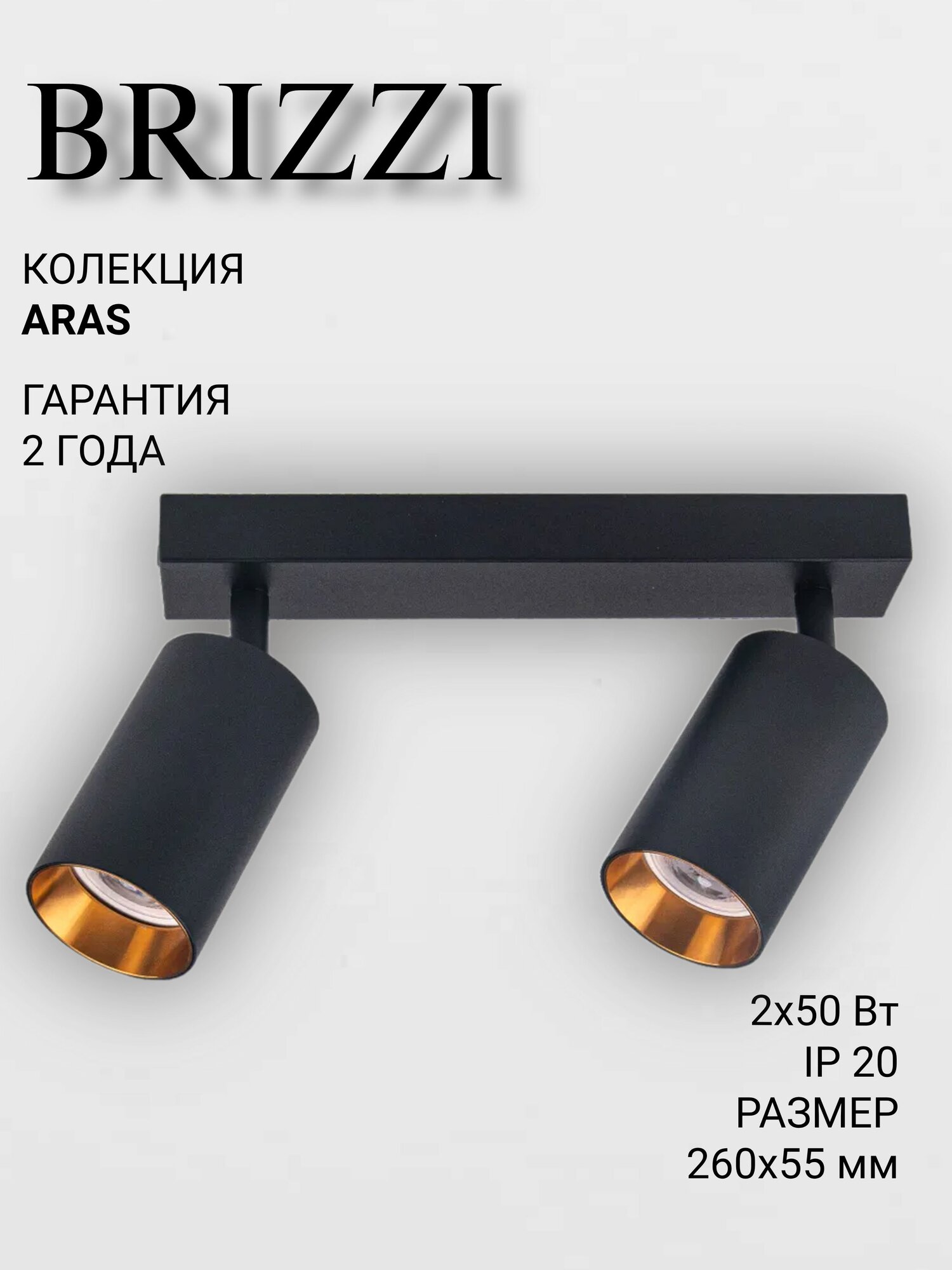 Потолочный светильник-спот BRIZZI ARAS BR08086