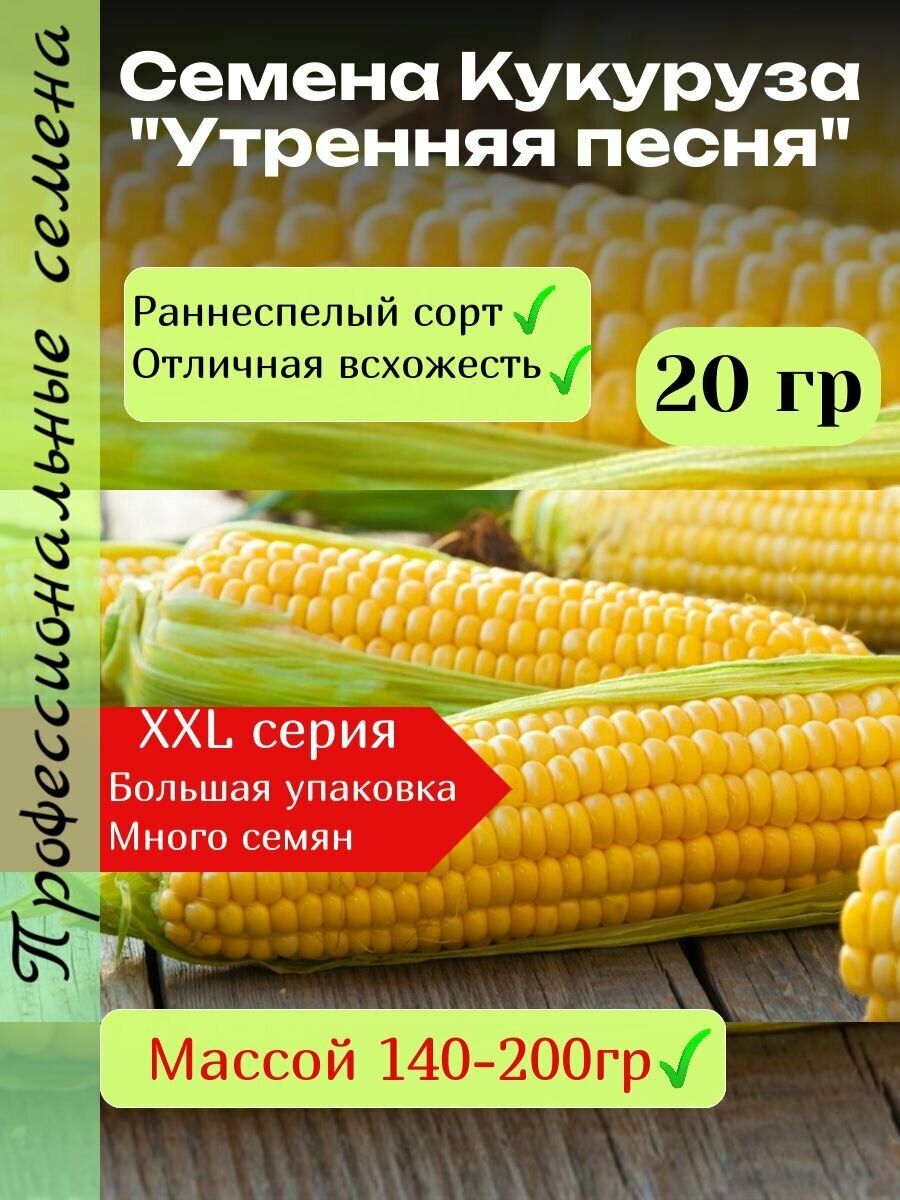 Семена Кукуруза Утренняя песня 20 грамм