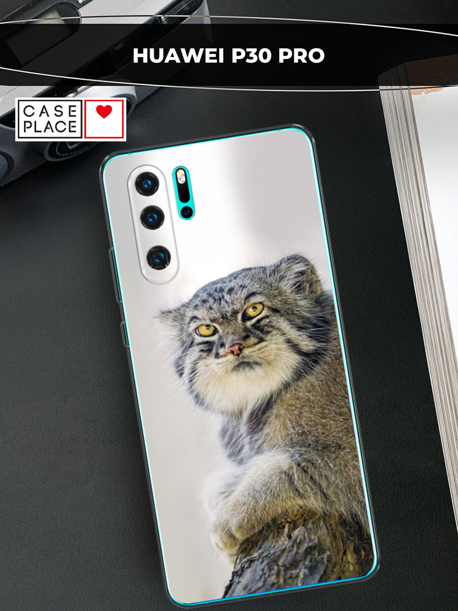 Чехол на Huawei P30 Pro / Хуавей П30 Про с принтом Кот манул 1