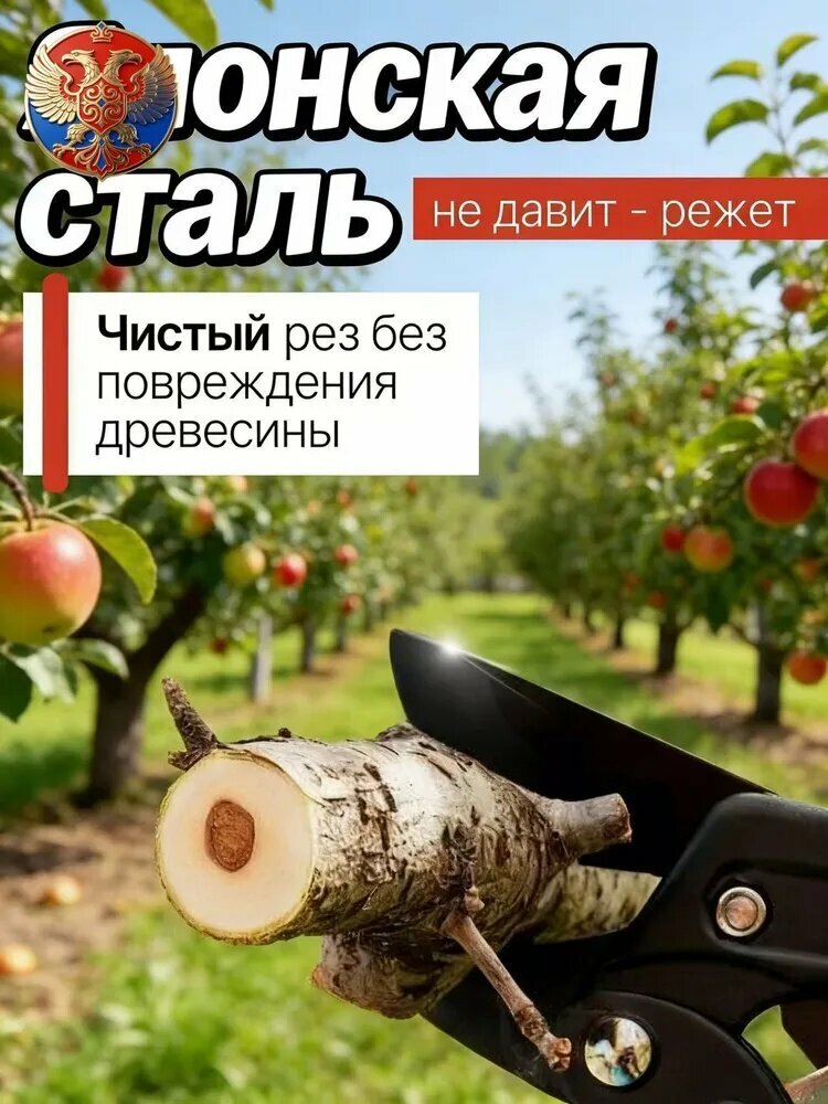 Сучкорез