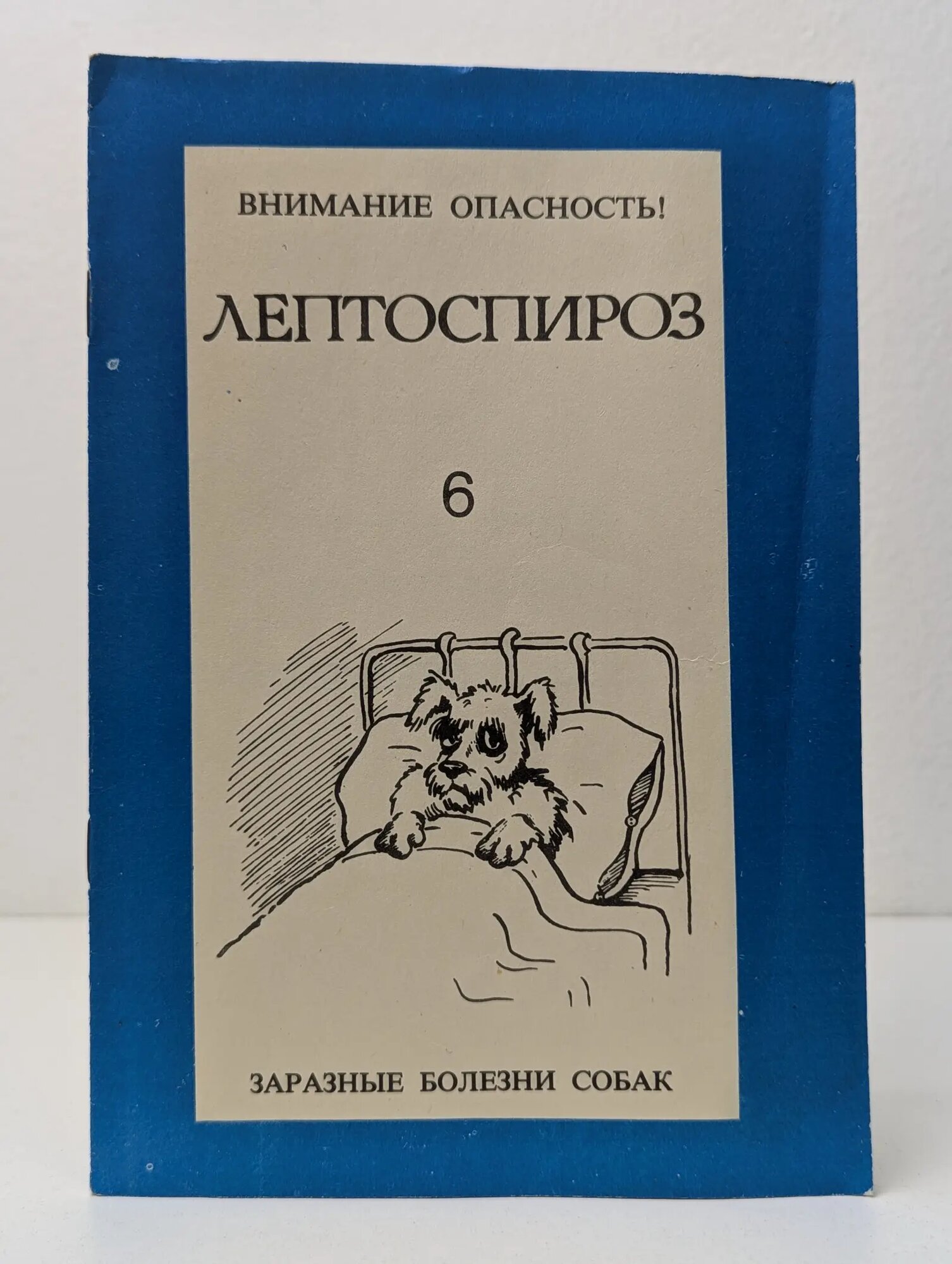 Внимание опасность! Заразные болезни собак. Выпуск № 6. Лептоспироз Баранов Анатолий Евгеньевич 1990