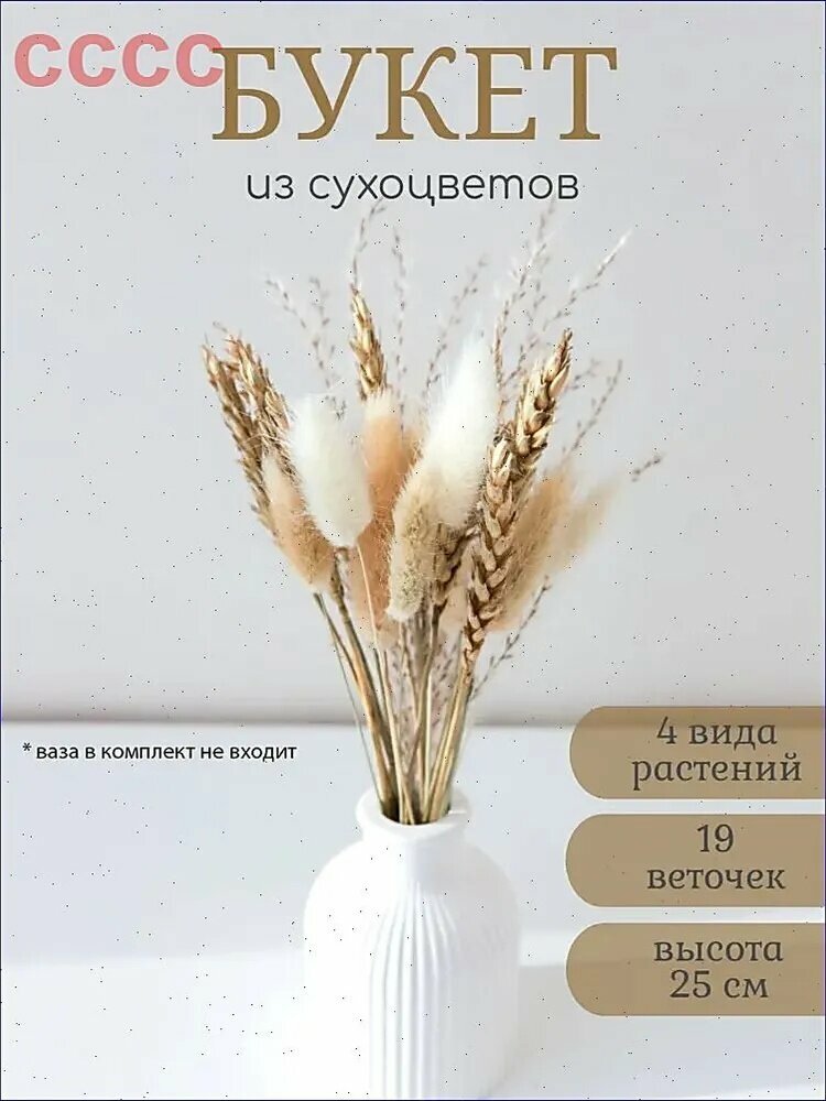 Сухоцветы Пшеница, Лагурус, 25 см