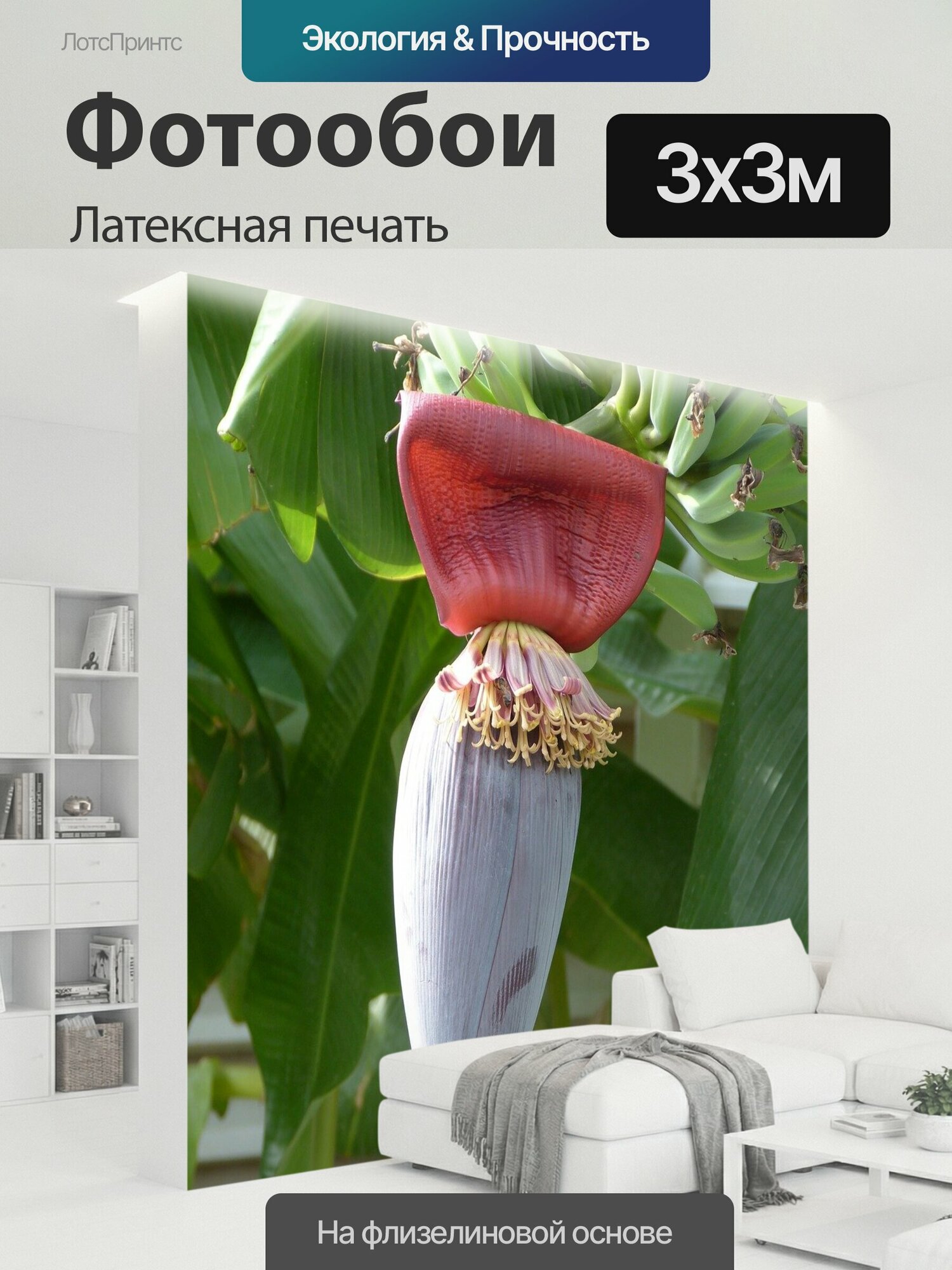 Фотообои моющиеся ударопрочные "Банан, цвести, цветок банана" 300x300 см. латексная печать