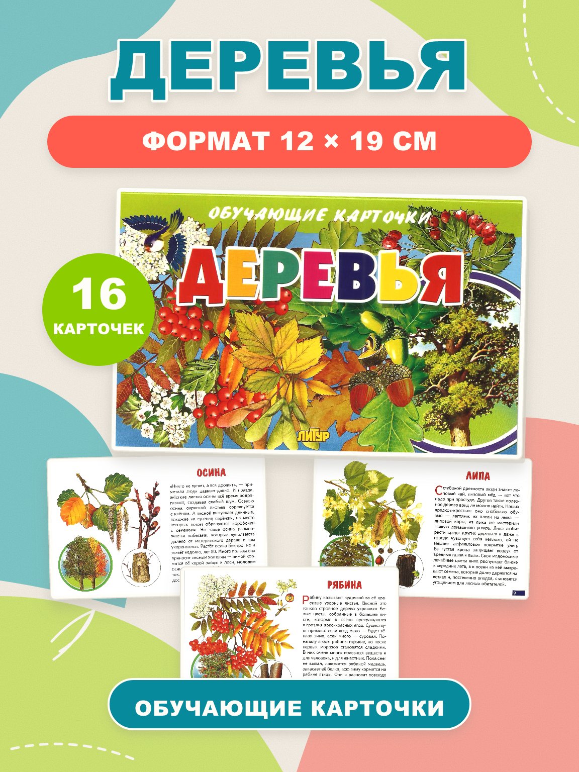 Обучающие карточки. Деревья. 16 карточек