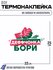 Термонаклейка девочка деффчонка Бори