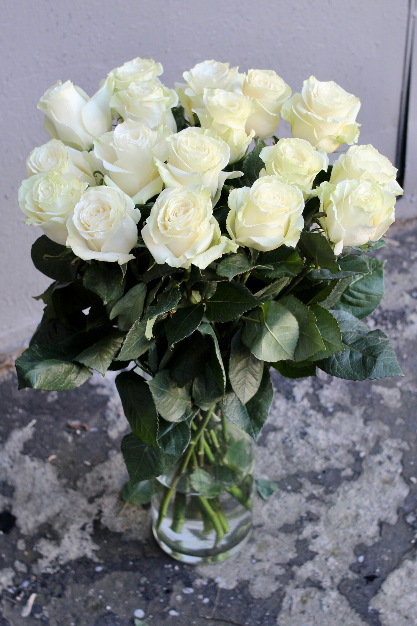 17 Белых Роз сорта Мондиаль в вазе (80 см)