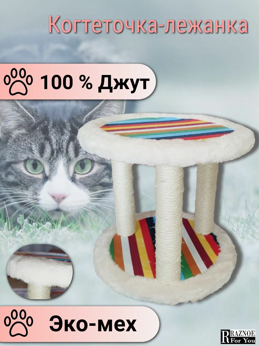 Когтеточка-лежанка