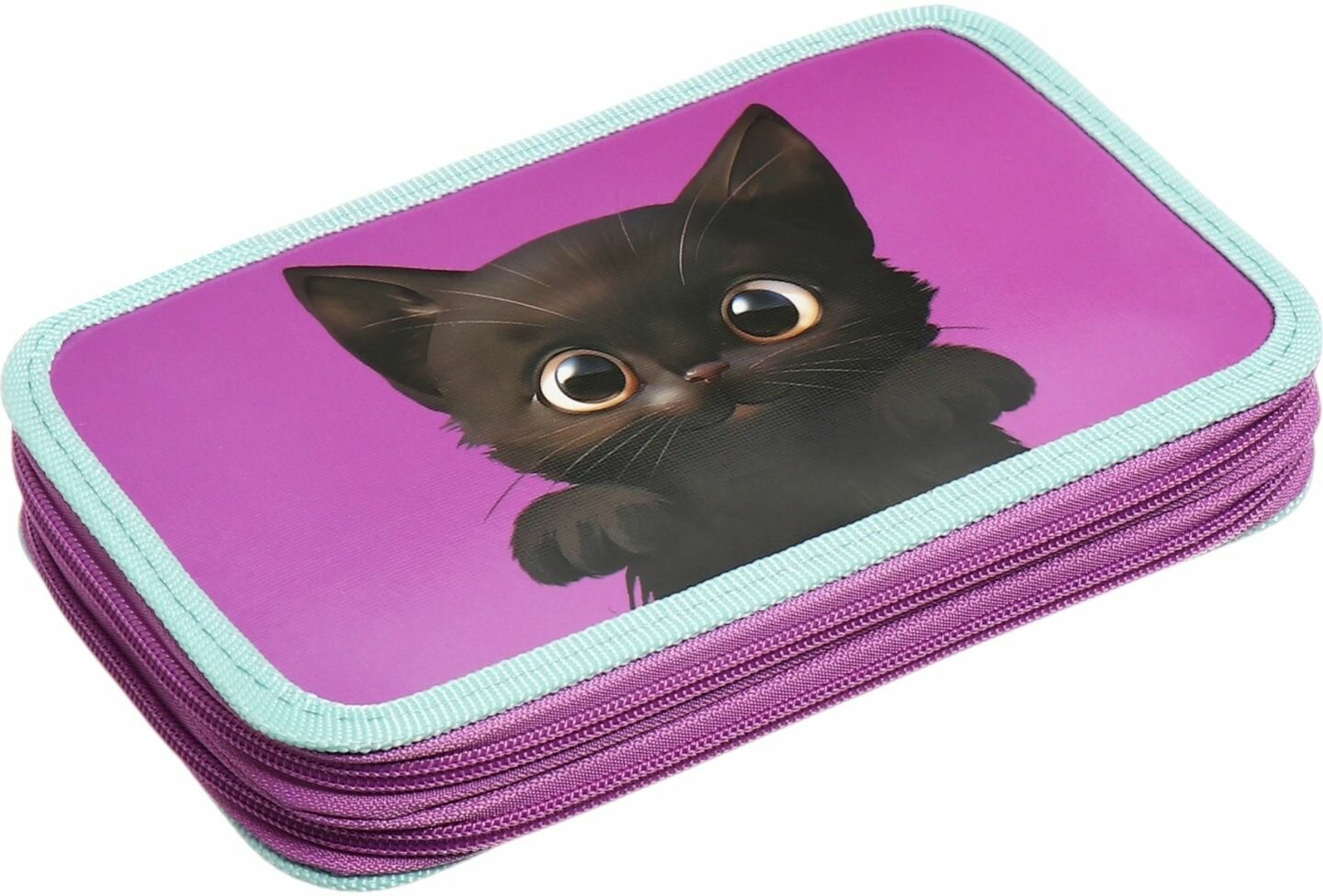 Пенал-футляр из ламинированного картона "Котик черный" на молнии, школьный чехол без наполнения, органайзер для карандашей и ручек, 2 отделения, 125 х 205 х 40 мм