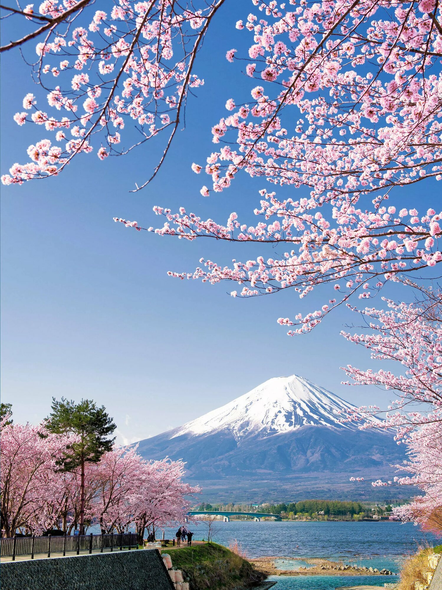 1000 лучших мест планеты, которые нужно увидеть за свою жизнь. 4-е изд. испр. и доп. (стерео-варио сакура)(Мария Кожевникова)