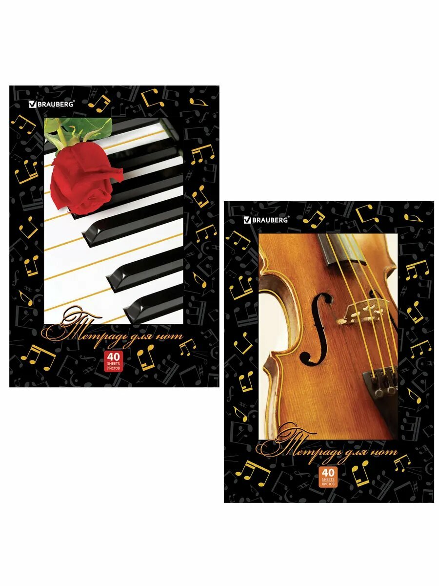 Тетрадь для нот А4, 40 л, BRAUBERG, обложка мелованный кар