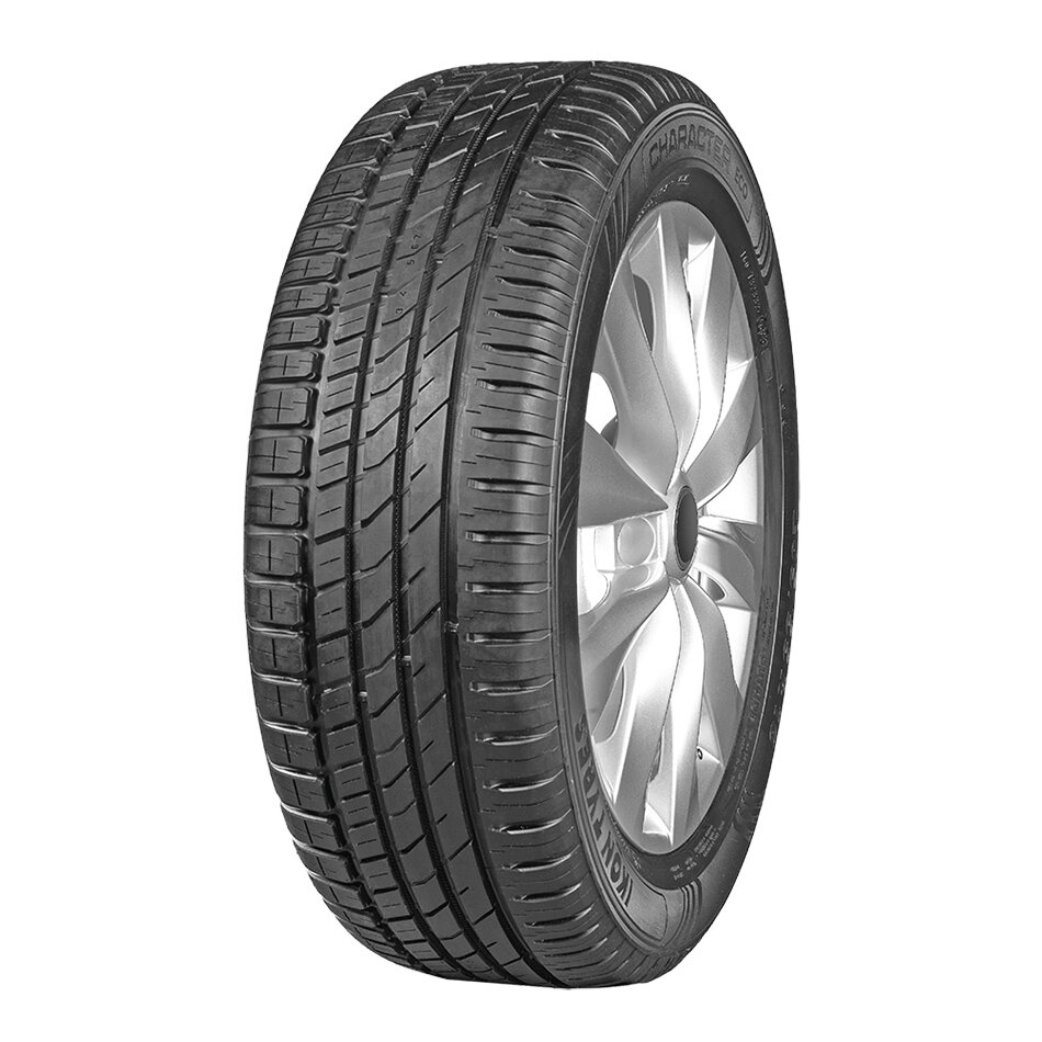 Шина Ikon Character Eco 205/55 R16 91H летняя, для легкового автомобиля,