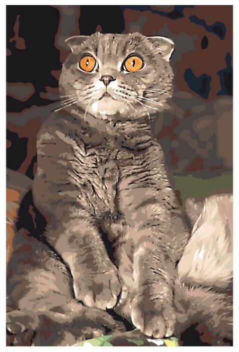 Удивленный кот Раскраска картина по номерам на холсте