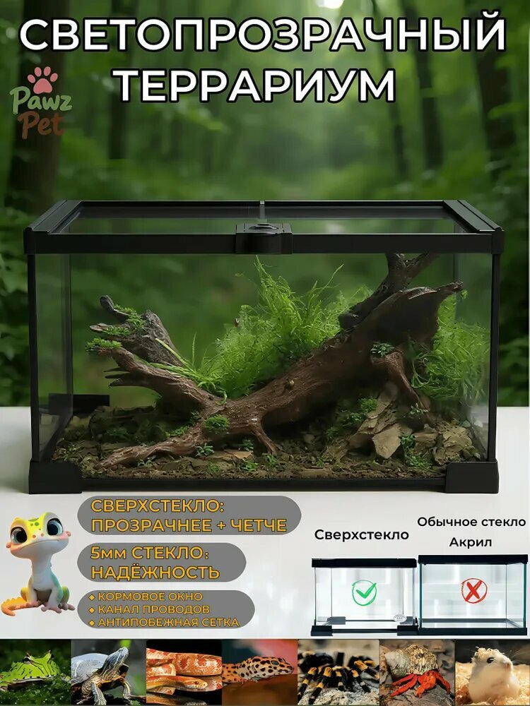 Панорамный террариум 360 градусов из сверхстекла для рептилий, змей, амфибий, улиток и паука