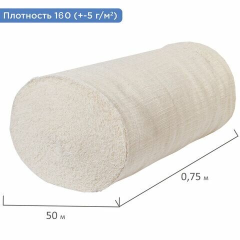 Полотно нитепрошивное (неткол), Узбекистан, рулон 0,75х50 м, 160 ( 5) г/м2, в пакете, LAIMA, 607524