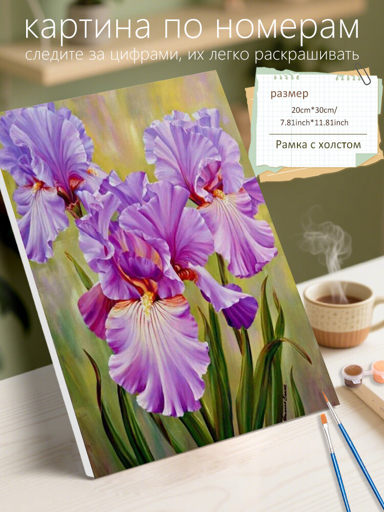 Картина по номерам на холсте с подрамником 20х30 "Акварельный ирис" / набор для творчества