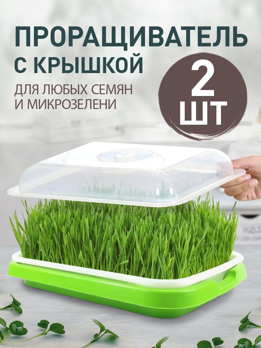 Проращиватель iulkapu, для микрозелени, пластик, с крышкой, зеленый