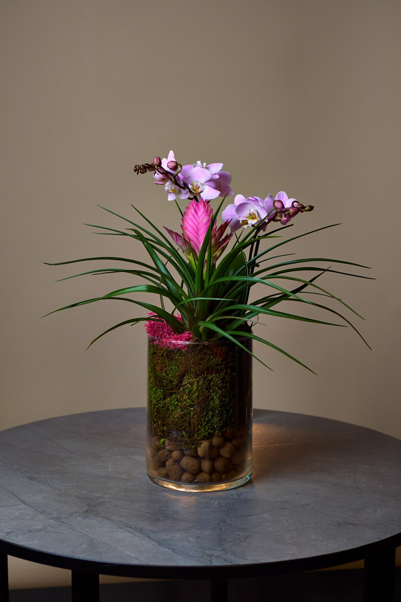 Флорариум «Анита» (Орхидея, Тилландсия, Мох) от бренда Margo plants.