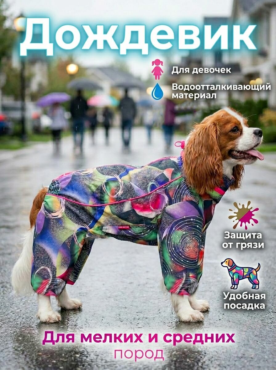 Дождевик для собак девочек (мелкие и средние породы)