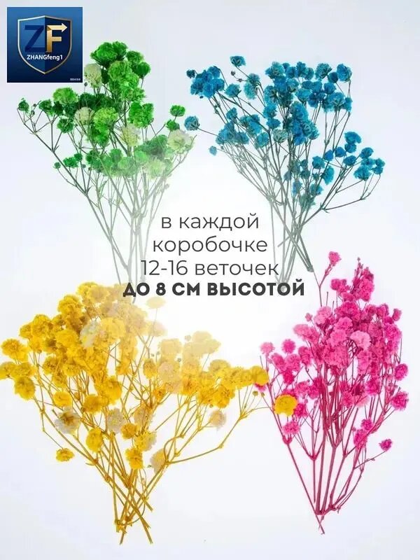 Сухоцветы Гипсофила, 1 шт — фото 1