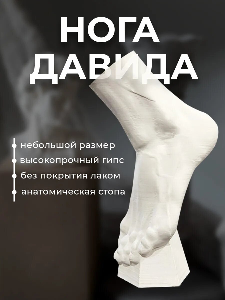 Анатомическая стопа, нога Давида, статуэтка