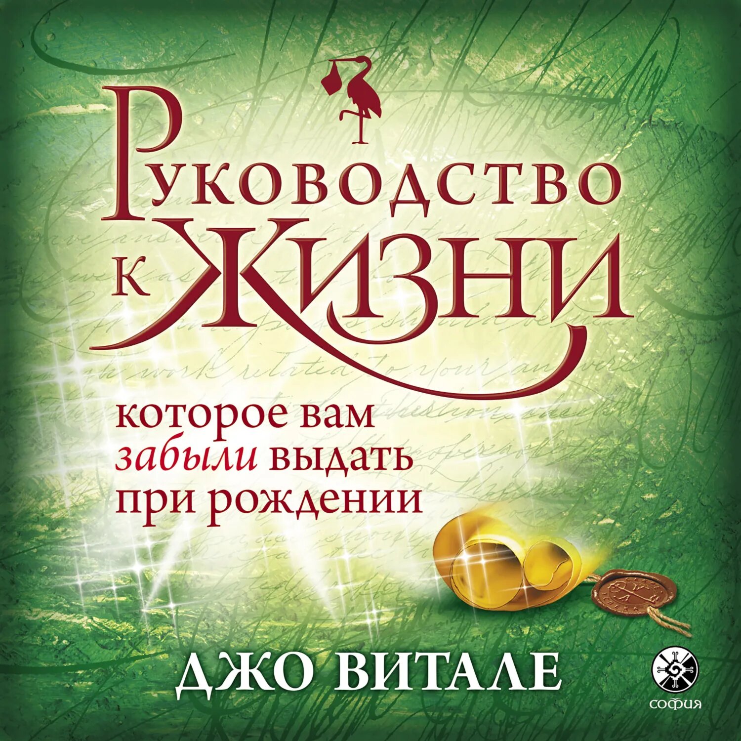 Руководство к жизни, которое вам забыли выдать при рождении [Аудиокнига]