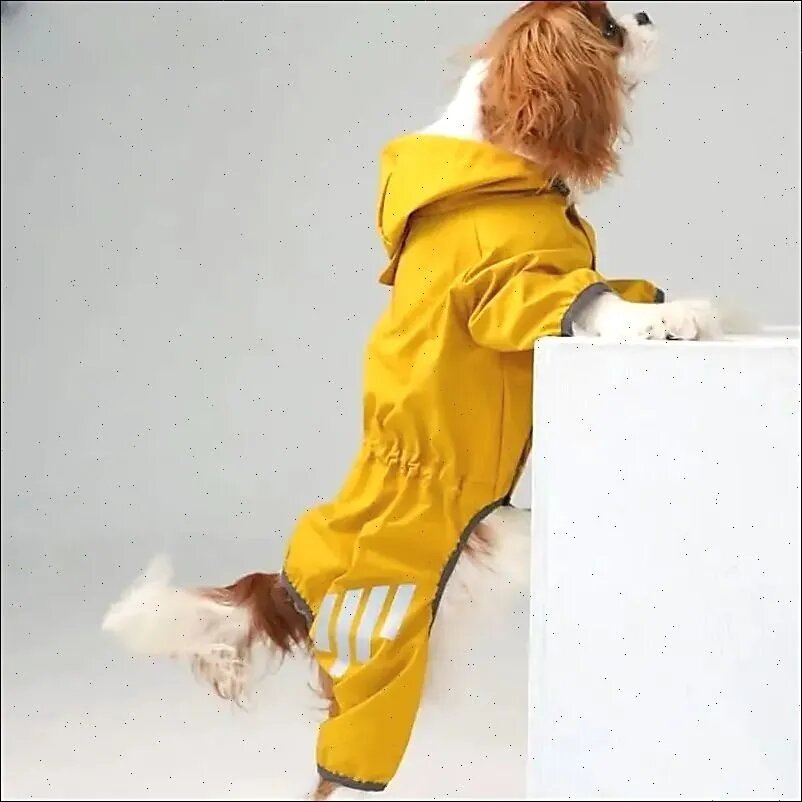 Одежда для собак дождевик, Одежда для собак, дождевик комбинезон для малых и средних пород