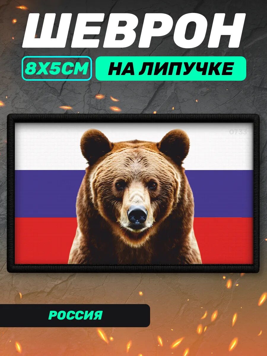 Шеврон на липучке военный Медведь