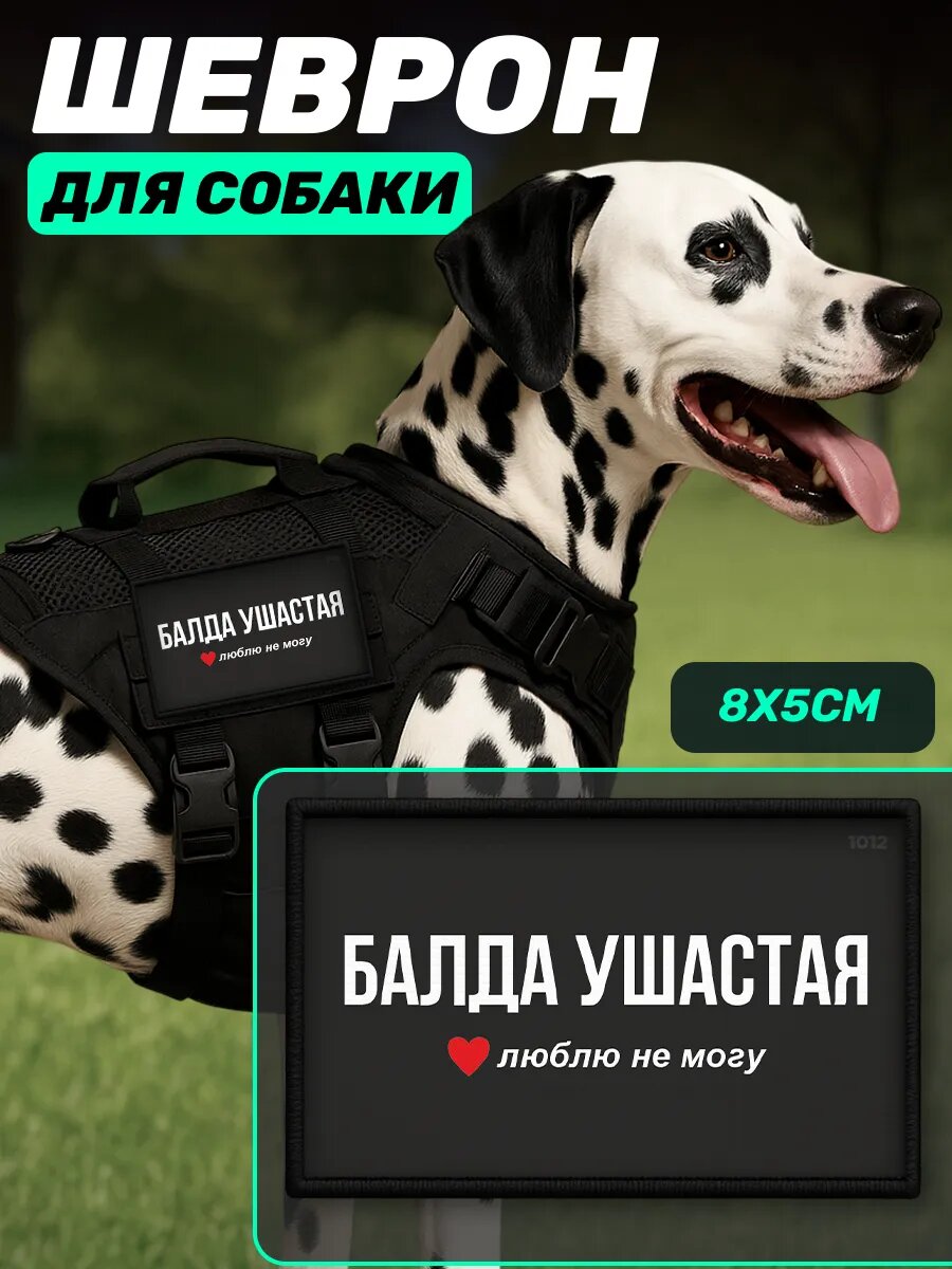 Шеврон на липучке для собак Балда ушастая