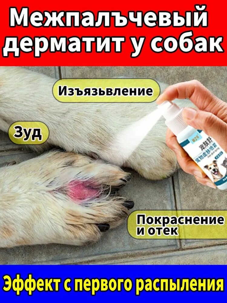 Спрей от зуда и аллергии для животных 100 мл, успокаивающий лосьон для кожи собак и кошек, стоп-зуд, натуральный