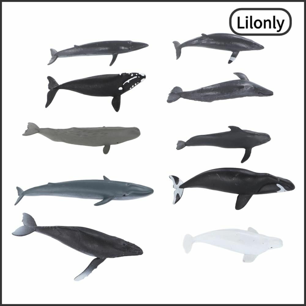 Модели китов, отличные для декора, праздничный подарок для друзей и семьи