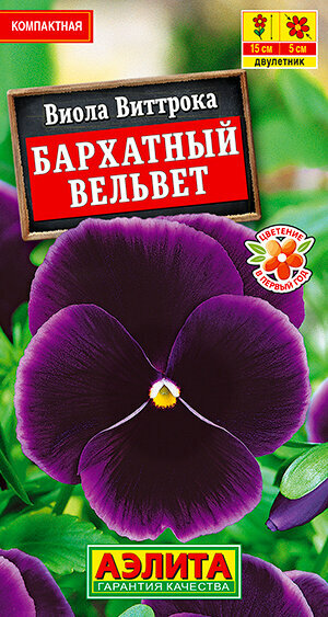 Семена цветов Виола аэлита "Бархатный вельвет", неприхотливые, многолетние